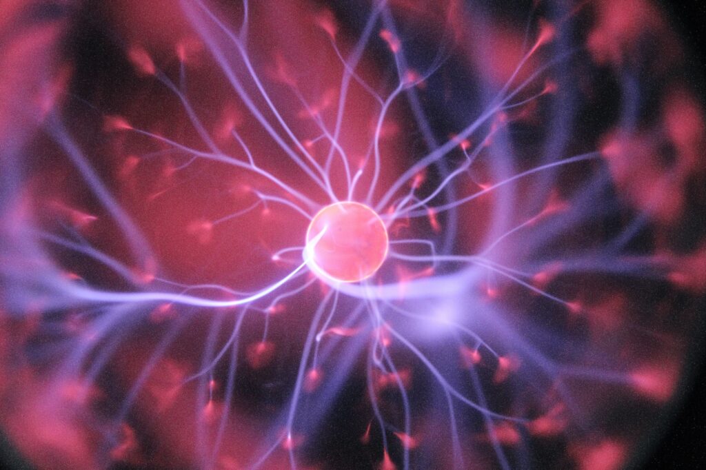 What Stress Does to the Brain - The Word Tribe